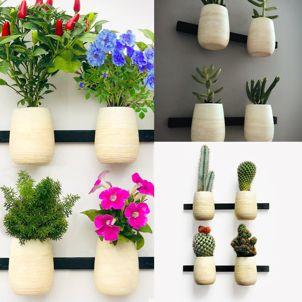 A Little Pop of Life 🌺 – BushyBox!