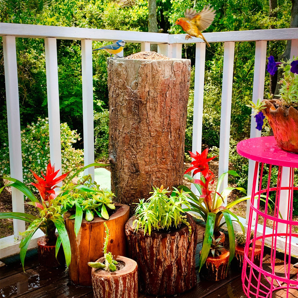 Natures Feast 🦆 Wild Bird, Squirrel & Critter Log Feeder – BushyBox!